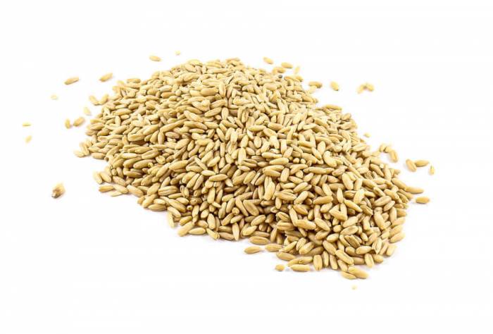 Australian Organic Oat Groats - The Source Bulk Foods Shop