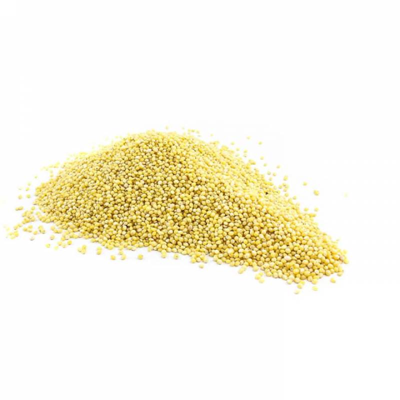 Grains Archives - The Source Bulk Foods Shop