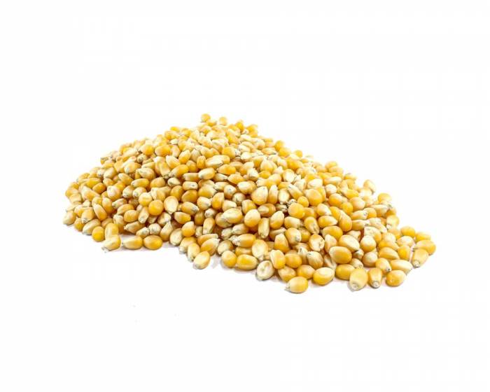 Organic Popcorn | Bulk Popcorn Australia | The Source Bulk Foods Shop