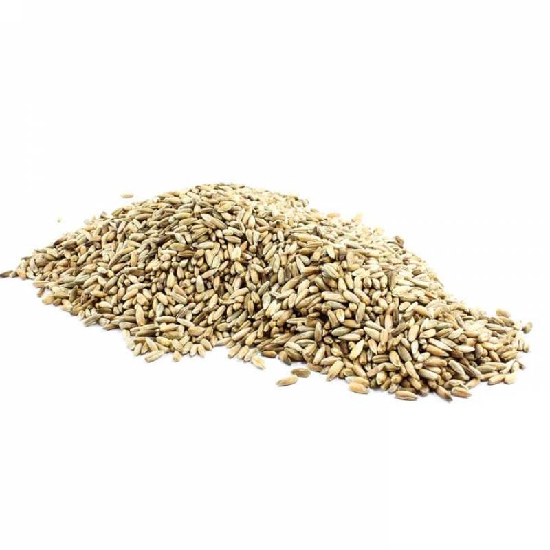 Australian Organic Rye Flour 5kg - The Source Bulk Foods Shop